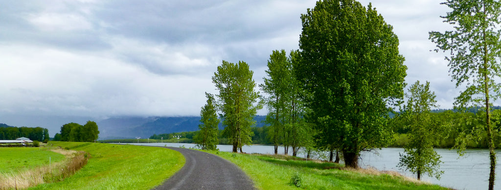 Washougal Dike Trail – NW Horse Trails