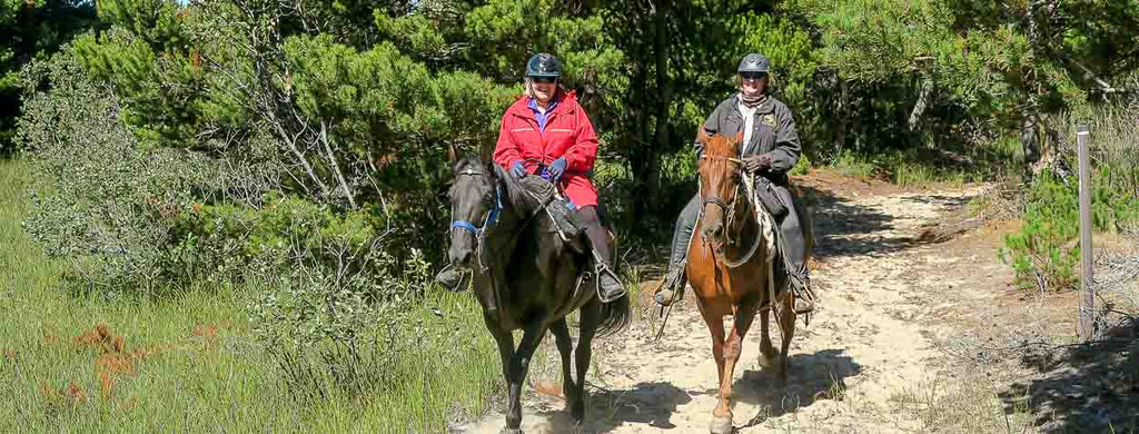 North Spit Trails – NW Horse Trails