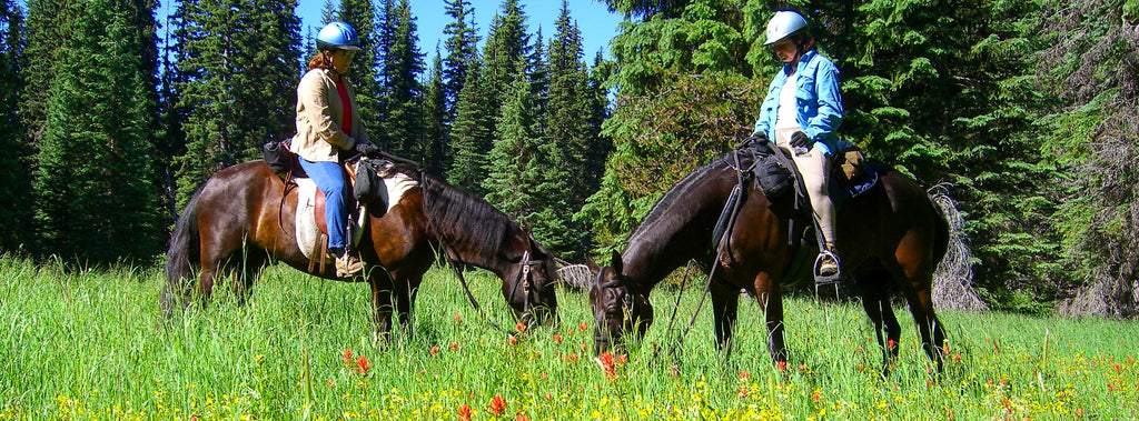 Erma Bell Lakes Loop – NW Horse Trails