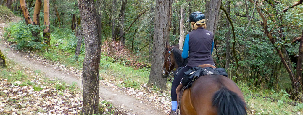 Cathedral Hills Trails – NW Horse Trails
