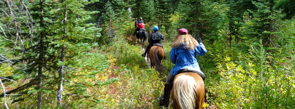 Coleman Weedpatch Loop – NW Horse Trails